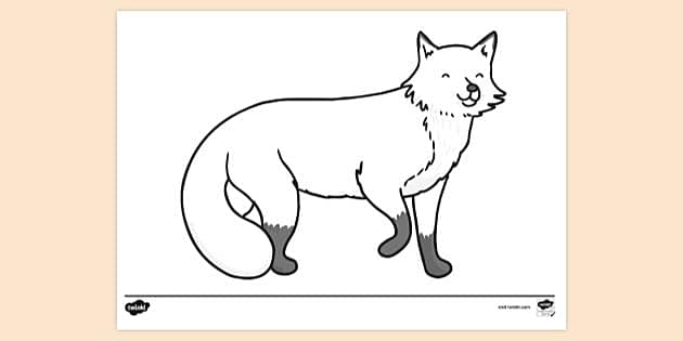 FREE! - Cartoon Fox Colouring | Colouring Sheets - Twinkl