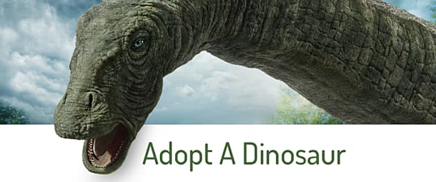 20+ Top Tips on How To Celebrate Dinosaur Day - Twinkl USA