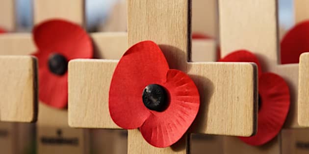 Remembrance Day 2025: Service, Sacrifice and the Legacy of Peace
