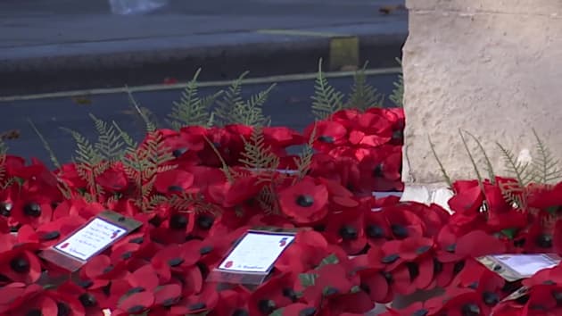 Who Do We Remember on Remembrance Day? - Twinkl