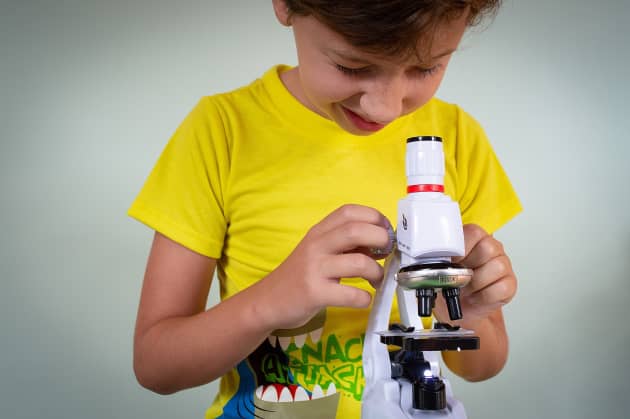 8 STEM Activities for Kids Blog | Twinkl - Twinkl