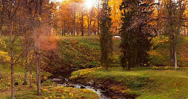 100 Outdoor Trivia for Middle School - Twinkl