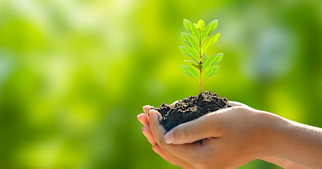 100 Outdoor Trivia for Middle School - Twinkl