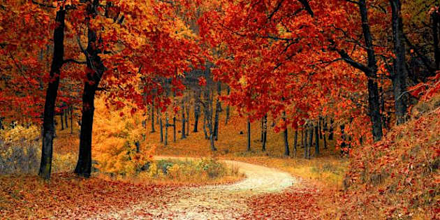 Middle School Trivia: Fall Edition - Twinkl