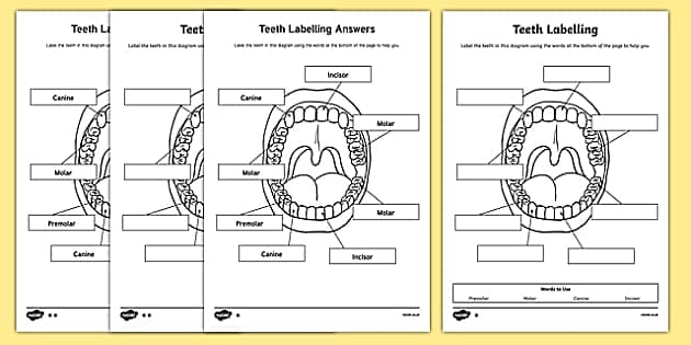 Brush up on our dental health with these resources! - Twinkl