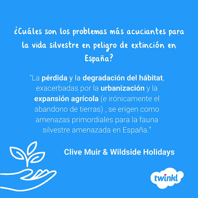 Consejos de expertos para proteger a la vida salvaje