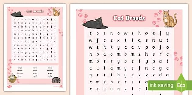 Fun Cat Facts | Festivals Celebrations & Events | Twinkl