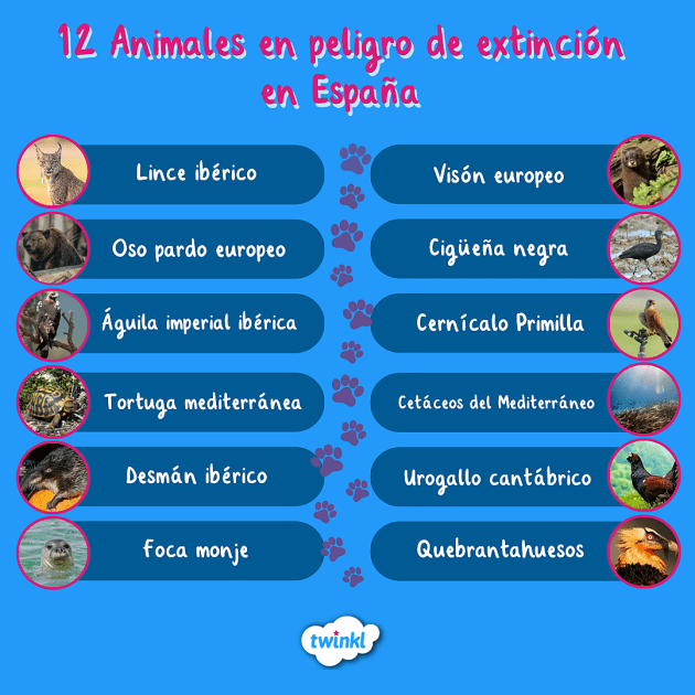 Consejos de expertos para proteger a la vida salvaje