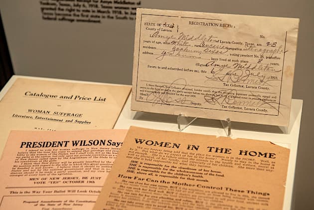 The Women's Suffrage Movement in the US | Blog | Twinkl USA
