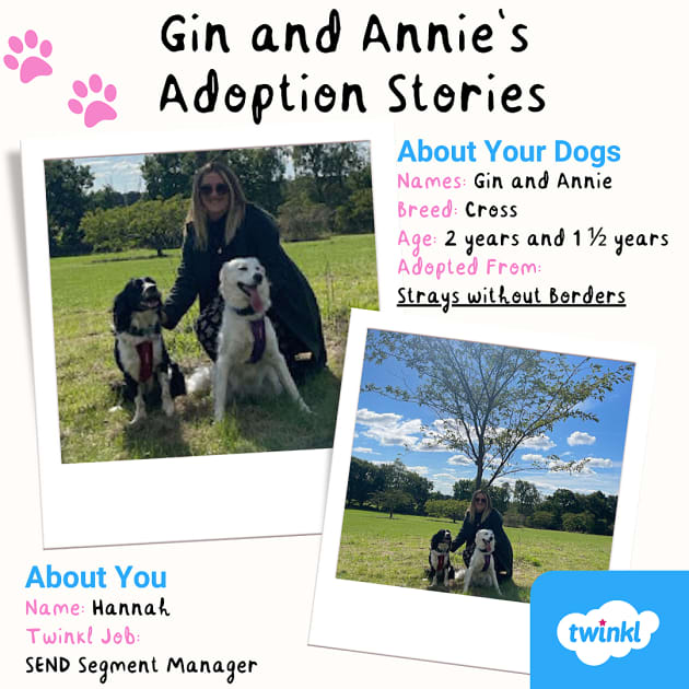 Twinkl Pets: Rescue Dog Edition - Twinkl