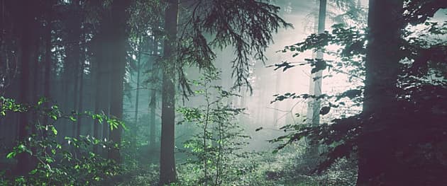 Our Fifteen Fave Summer Camp Themes for Kids - Twinkl USA