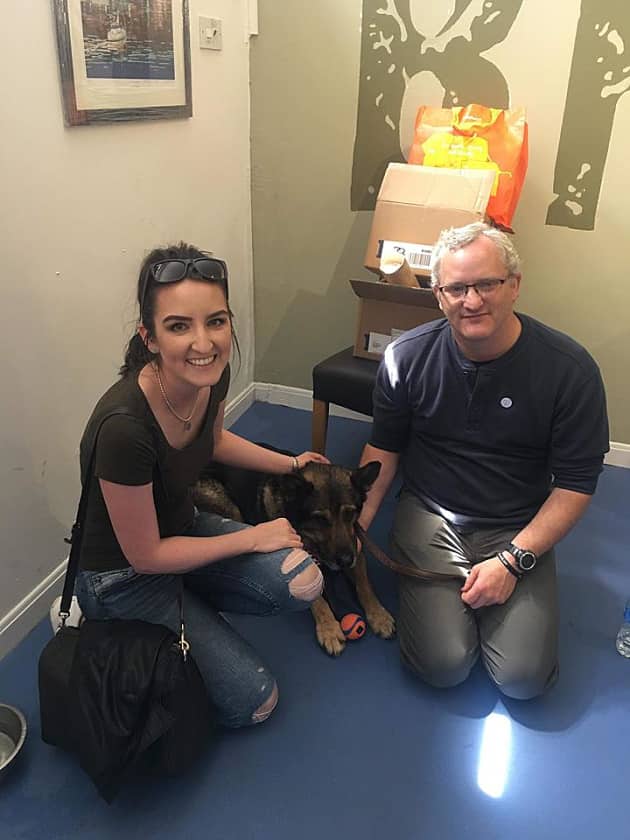 How can the Finn's Law campaign be used in the classroom?