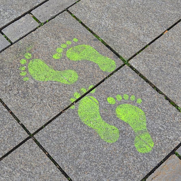 Playing for the Planet: Sustainability Through Classroom Games