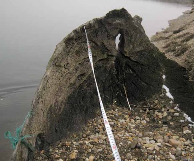 Muzee din România: Complexul Muzeal Arad - Twinkl