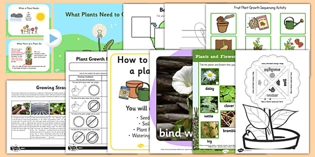 Exciting Gardening Activities for Toddlers - Twinkl