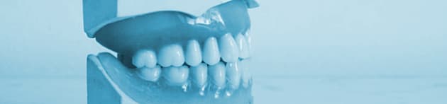 Our Guide to Teaching Dental Hygiene to Elementary Students