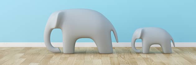 ‘Address the elephant in the room: 12 teaching assistants or one CEO ...