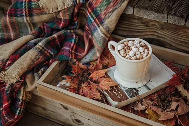 Welcome to Autumn: Cosy Quotes and Sayings about the Much-Loved Season