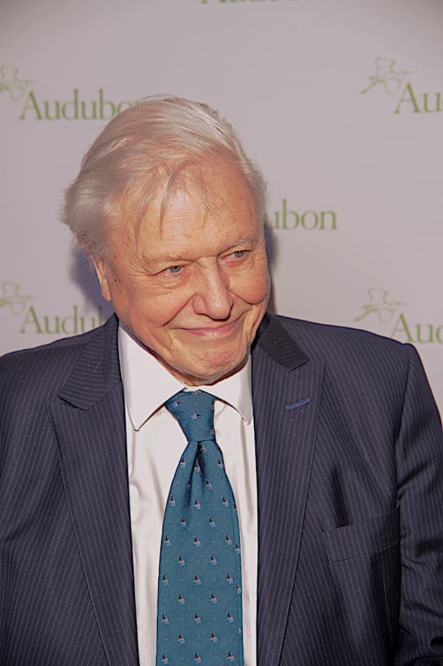 Sir David Attenborough: Birthday Inspiration - Twinkl
