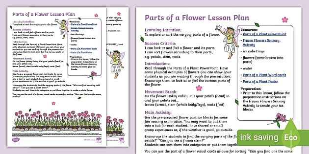 Twinkl for Educational Officers - Twinkl