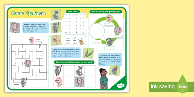 World Koala Day Classroom Activities - Engaging Lessons & Resources