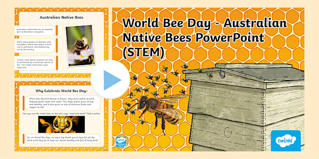 World Bee Day Activities for Kids - Twinkl