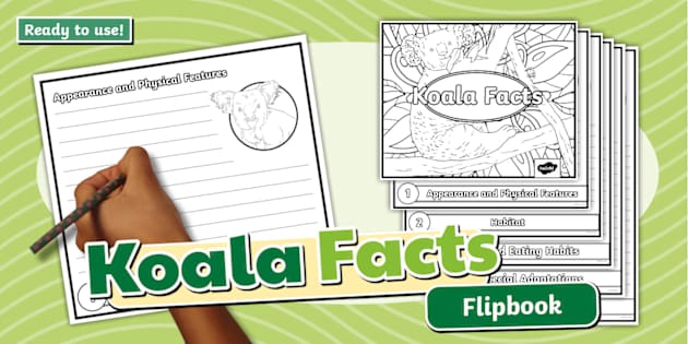 World Koala Day Classroom Activities - Engaging Lessons & Resources