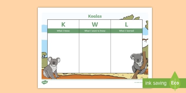 World Koala Day Classroom Activities - Engaging Lessons & Resources