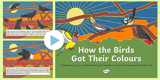 10 Australian Children's Books | Twinkl Blog - Twinkl