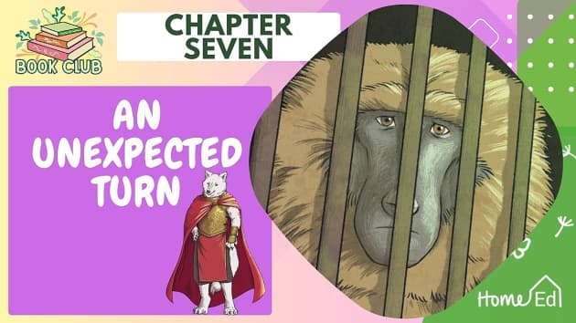 Book Club Cole's Kingdom - Twinkl