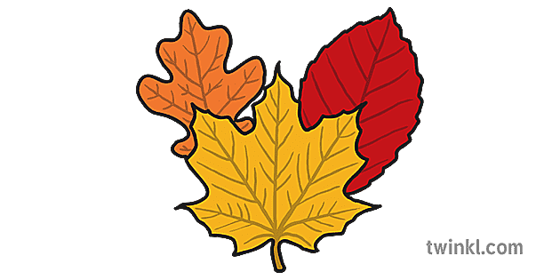 Ten Turkey-rific Easy Thanksgiving Crafts - Twinkl CA