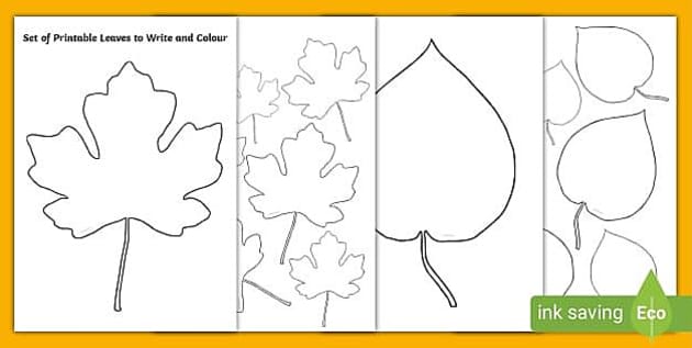 Absolutely Amazing Autumn Activities | Education | Twinkl