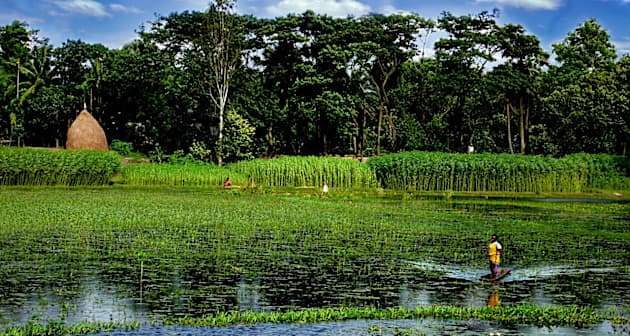Bangladesh Facts for Kids | World Geography Guide - Twinkl Homework Help