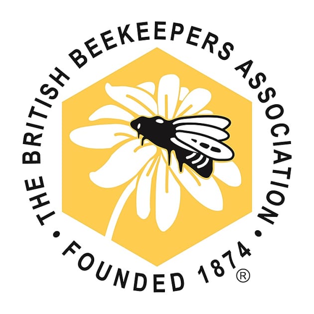15 Activities to Get You Buzzing for World Bee Day | Blog