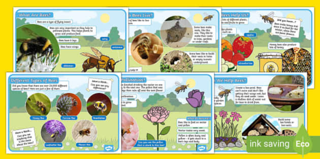 Minibeast Games for Preschoolers - Twinkl