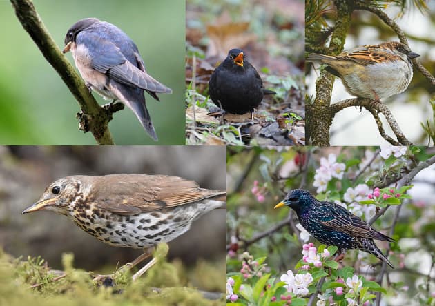 5 Fun and Sustainable Activities for Spring - Twinkl