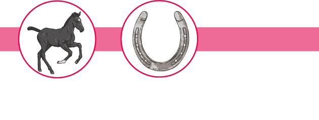 Black Beauty - Twinkl Homework Help - Twinkl