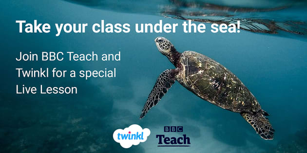 Teach conservation and plastic pollution with a BBC Teach Live Lesson and
