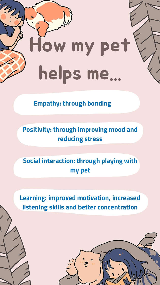 National Pet Month: SEND and pets - Twinkl Digest Education News