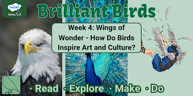 Project Sessions: Brilliant Birds - Twinkl