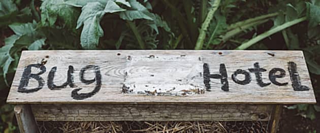 20 Cool Crafts for Kids this Spring Break | Twinkl Blogs