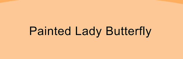 Fun Facts about Painted Lady Butterflies for Kids - Twinkl