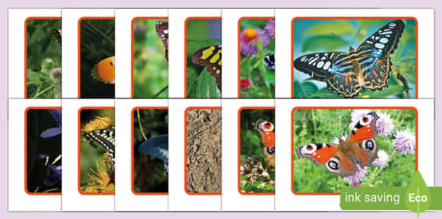 Butterfly Art Activities for Preschoolers - Twinkl