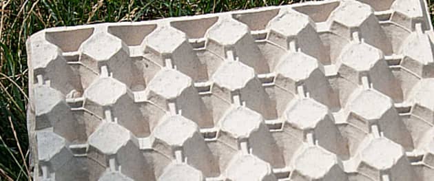 20 Cool Crafts for Kids this Spring Break | Twinkl Blogs