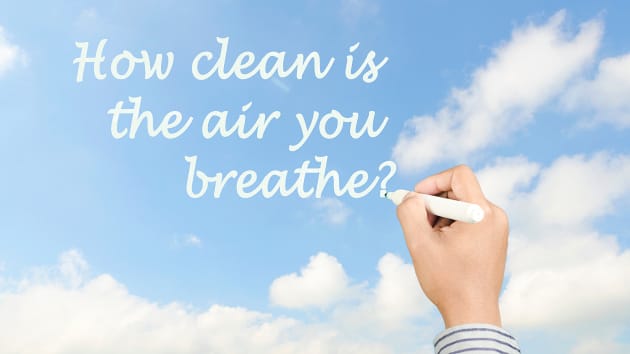 Celebrating Clean Air Day 2022 - how to help tackle air pollution