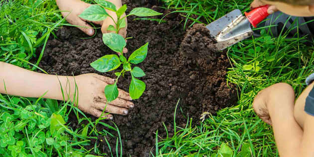 Sustainability efforts in early years settings don’t have to be costly Sustainability efforts in early years settings don’t have to be costly