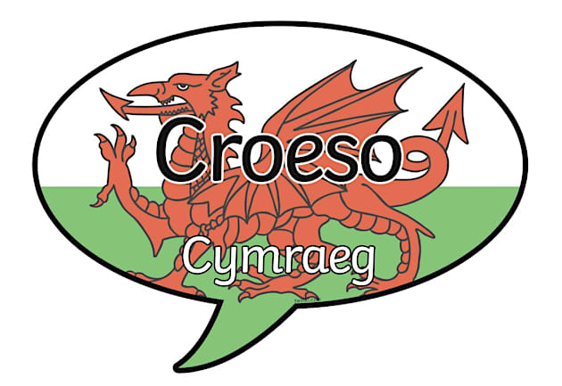 Get to know Doctor Cymraeg - Twinkl Cymru Ambassador