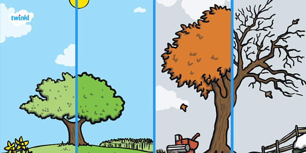 Completed Teaching Learning Material about Seasons of the Year: