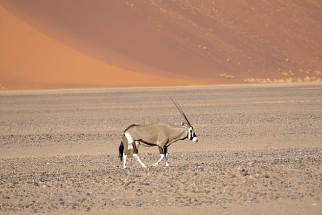 Jordan Facts for Kids | World Geography Guide - Twinkl Homework Help