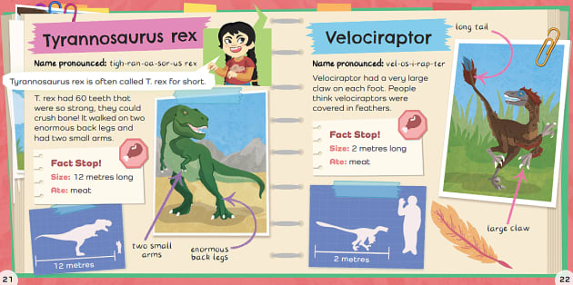 Non-Fiction November - Information eBooks from Twinkl Originals